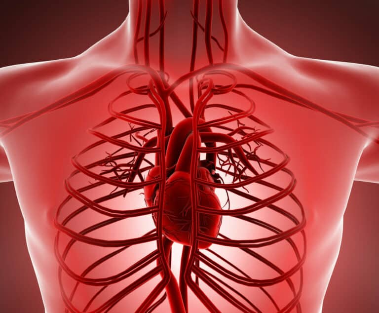 SVT medical terminology – key terms explained | Stop SVT